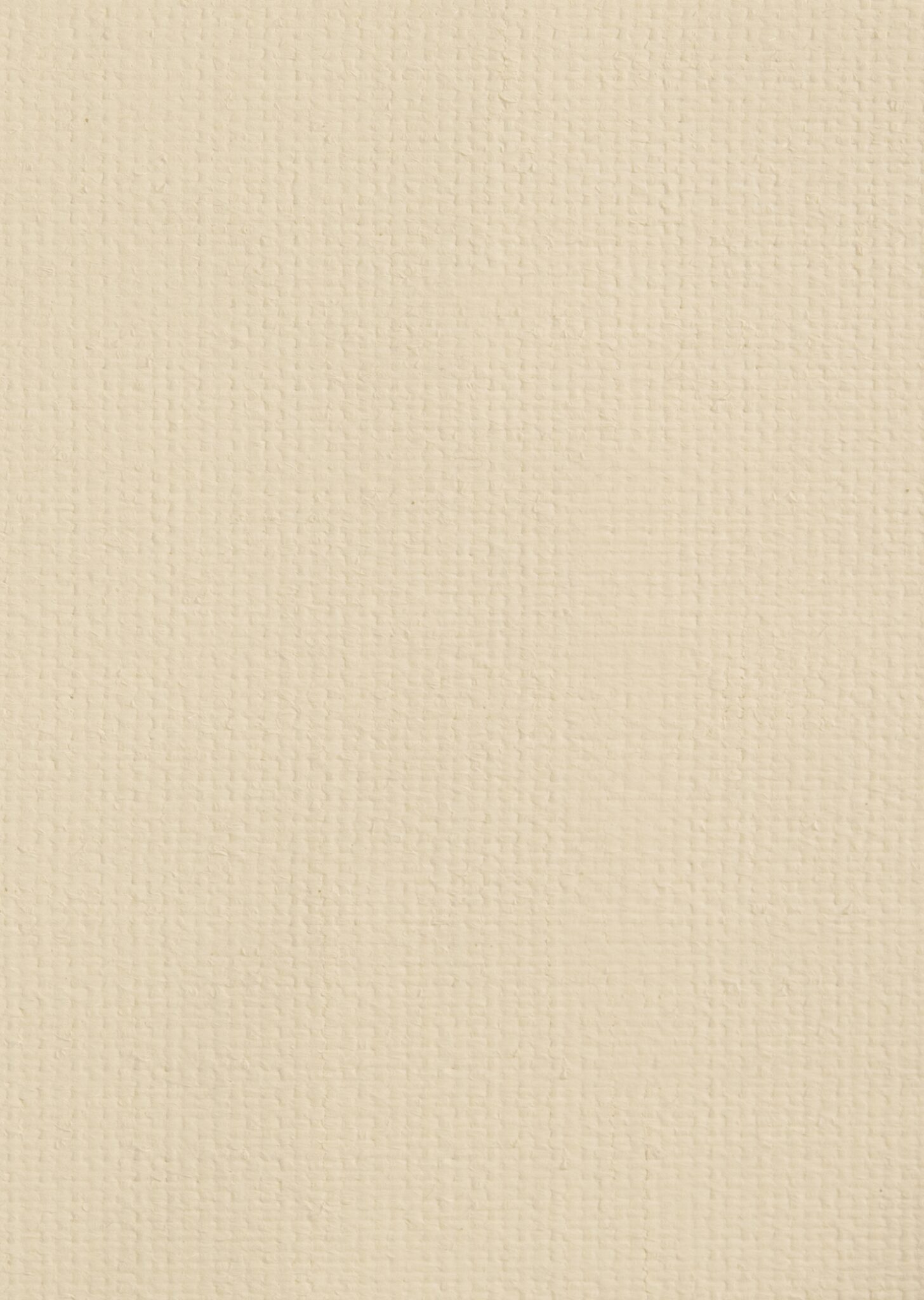 AMI-GLAS (RGL) Rewettable Cloth | Auburn Manufacturing Inc